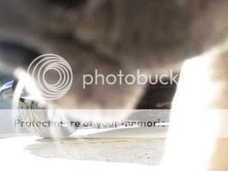 RK-Tunes MS43 Stock DME Turbo Tuning Now Available! | E46 Fanatics Forum