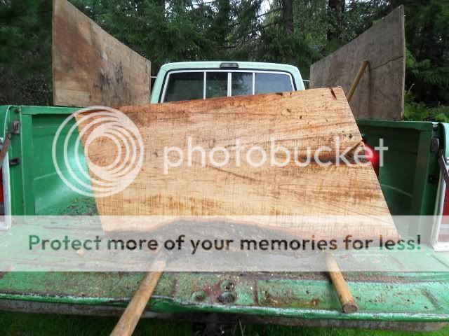 found some nice fiddleback | LumberJocks Woodworking Forum